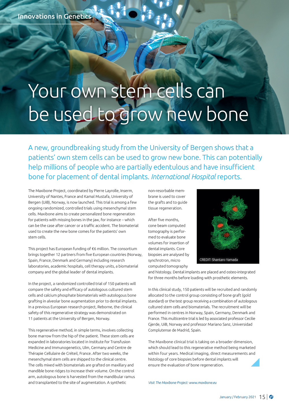 Your own stem cells can be used to grow new bone - International Hospital