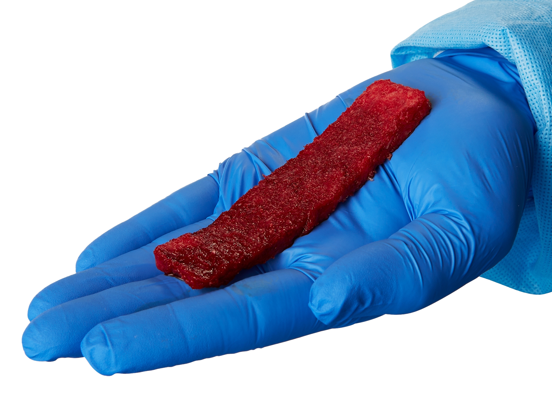Orthofix introduces new fiberFUSE Strip for bone graft - International ...
