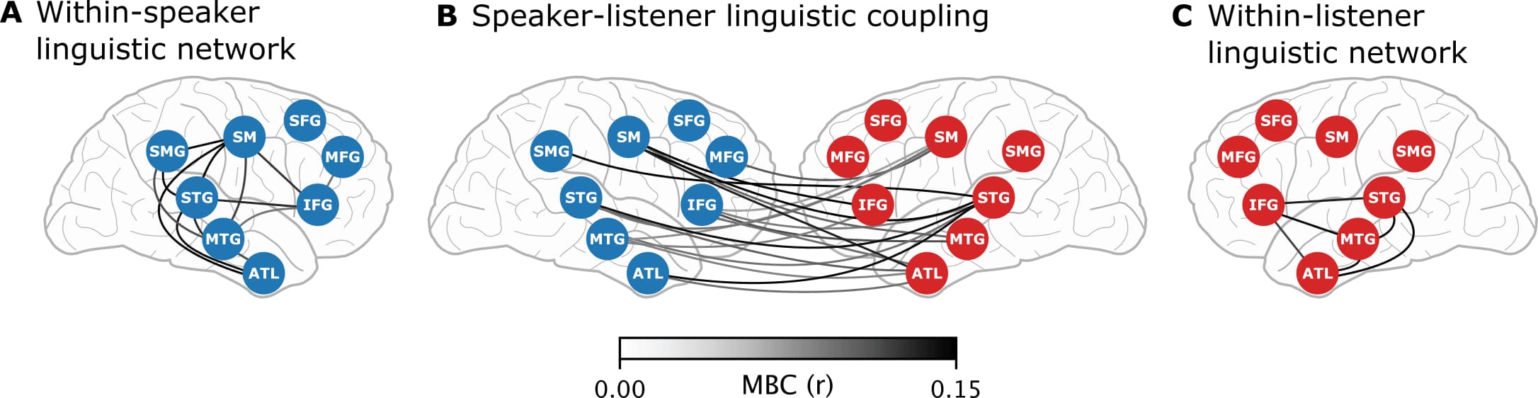 Brain-to-brain synchronicity reveals shared linguistic space during ...