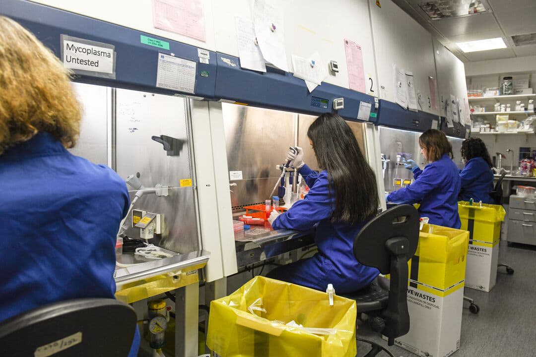 Novel Human Skin Atlas reveals developmental secrets and potential for ...