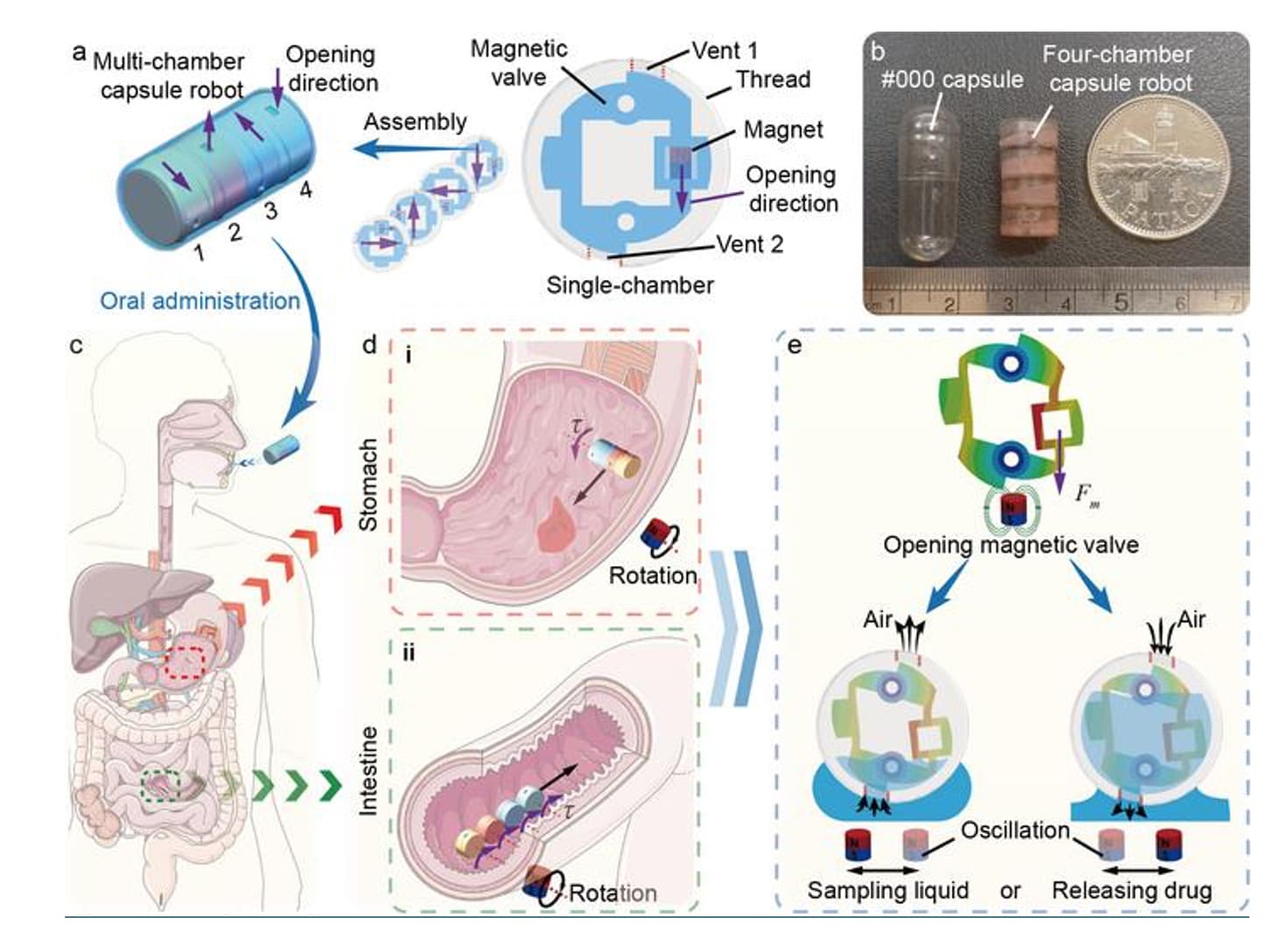 Breakthrough magnetic capsule robot integrates diagnosis and treatment ...