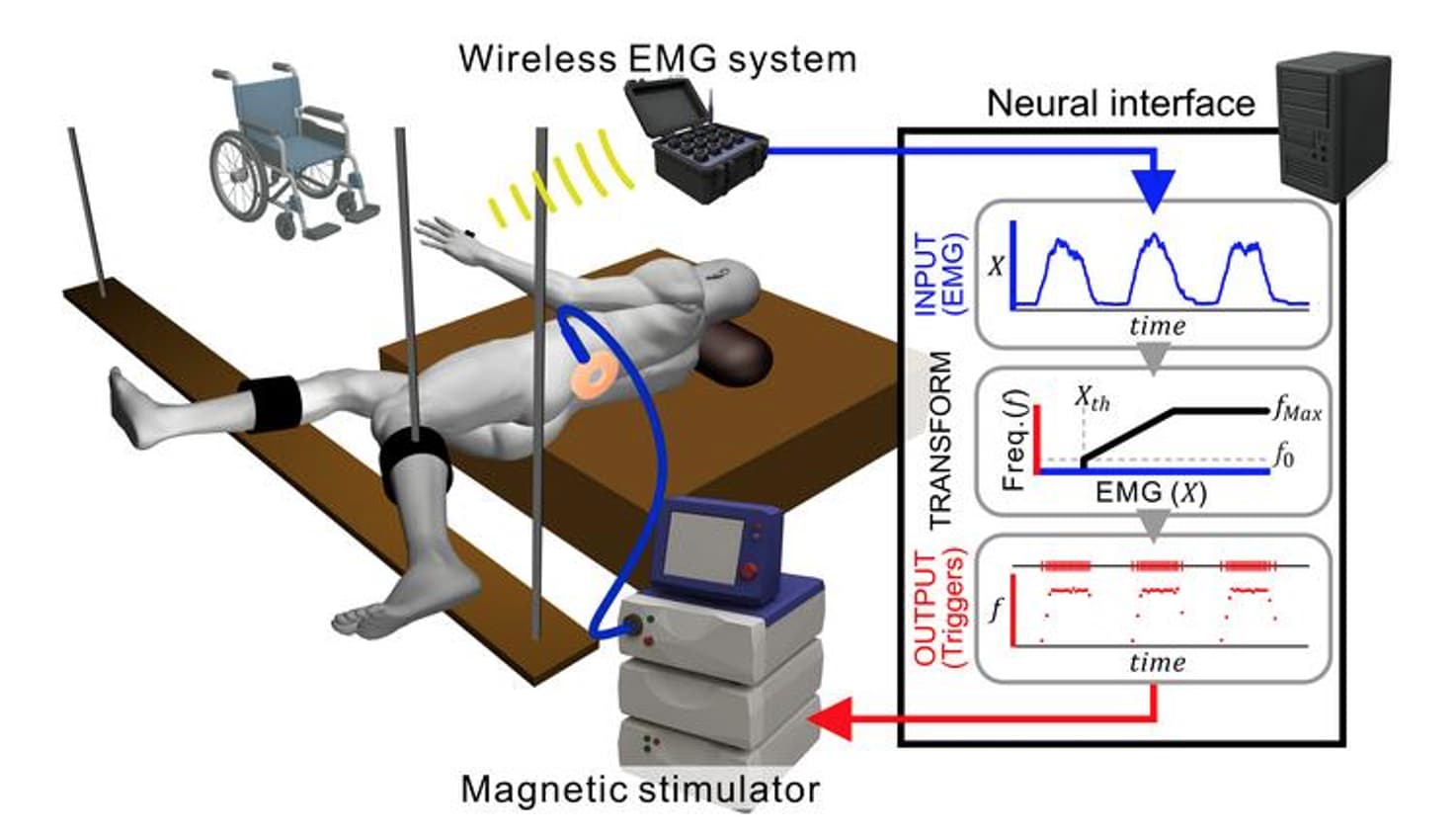 Non-invasive spinal stimulation restores stepping control in paraplegic ...